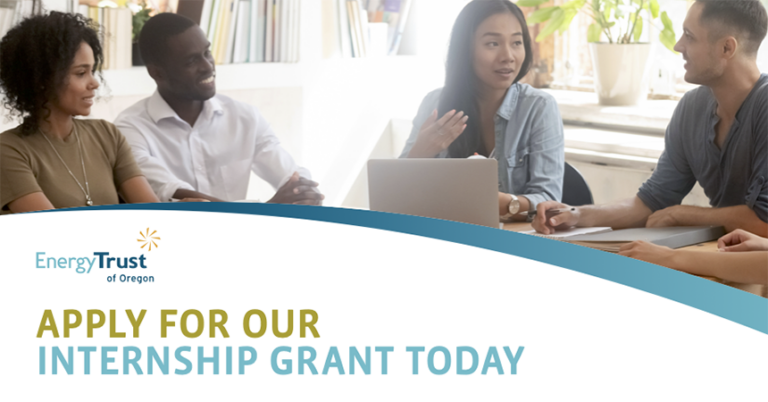 Apply today for the Net Zero Emerging Leaders Internship Grant | Energy ...